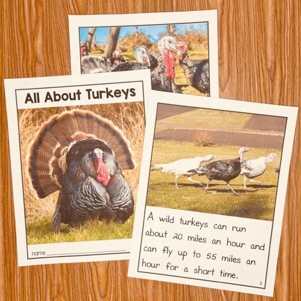 Turkey Nonfiction Reader - Simply Kinder + Printable Membership