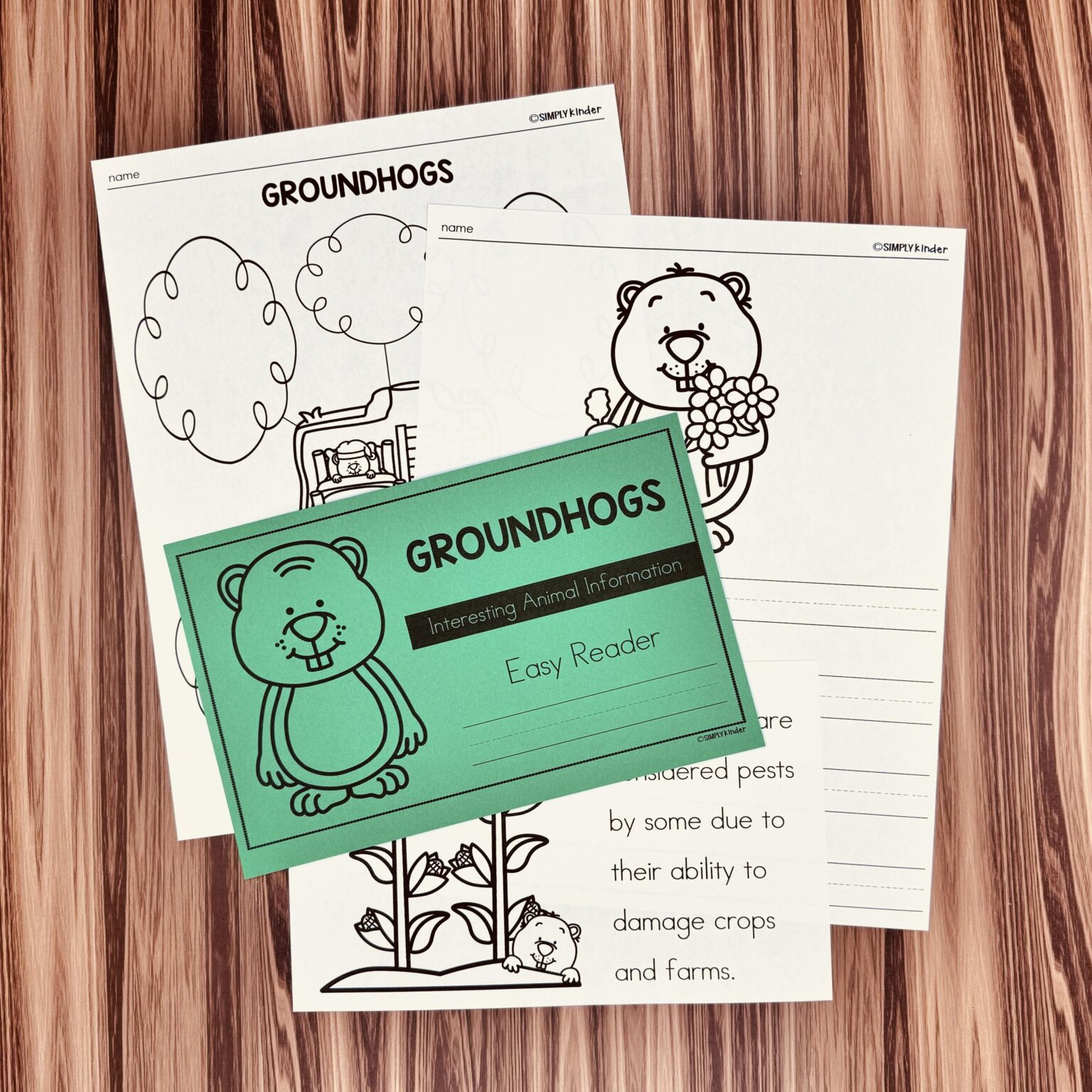 Groundhogs Easy Readers & Activities - Simply Kinder + Printable Membership