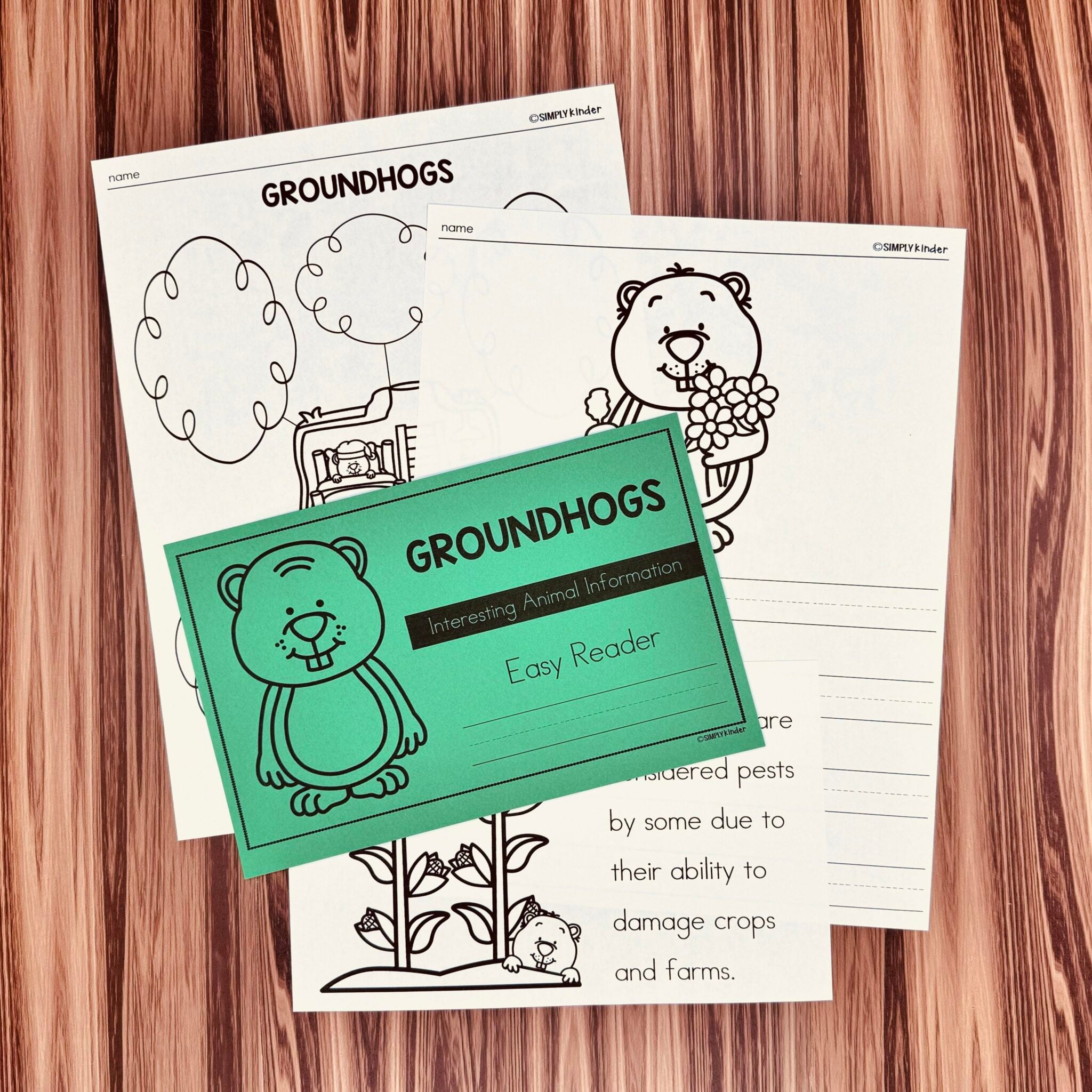 Groundhogs Easy Readers & Activities - Simply Kinder + Printable Membership