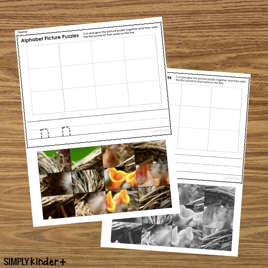 Letter N Nonfiction Alphabet Picture Puzzle - Simply Kinder + Printable ...