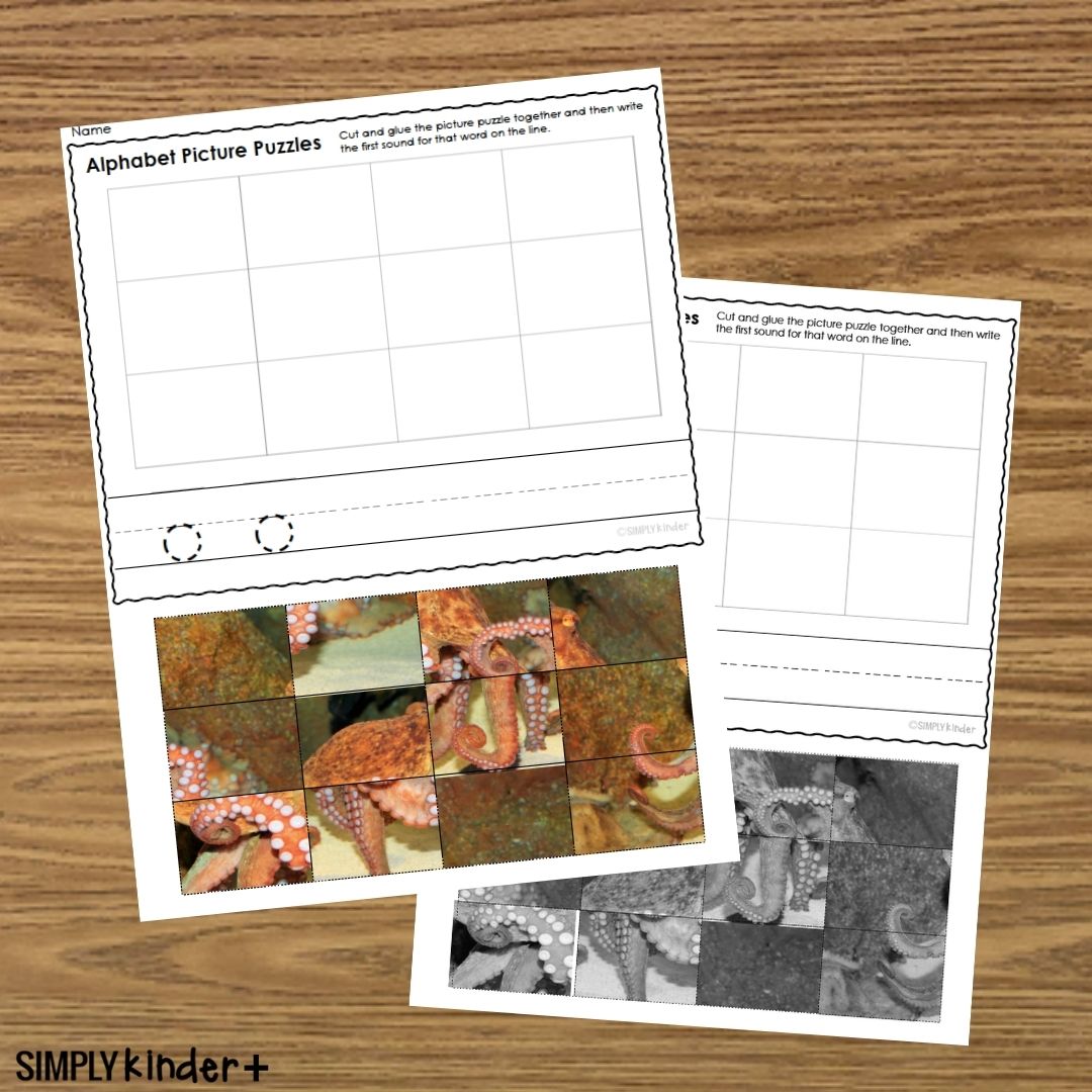 Letter O Nonfiction Alphabet Picture Puzzle - Simply Kinder Plus