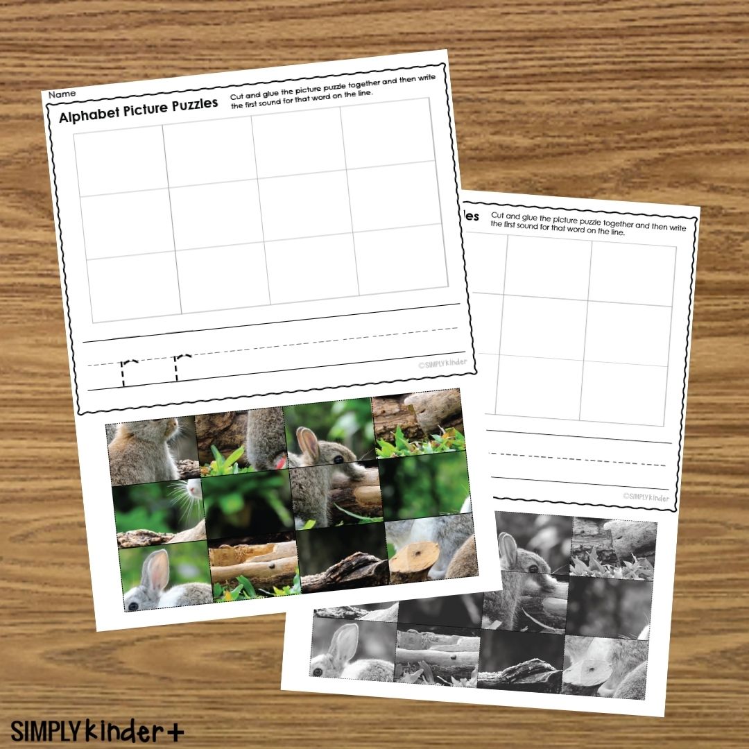 Letter R Nonfiction Alphabet Picture Puzzle - Simply Kinder + Printable ...