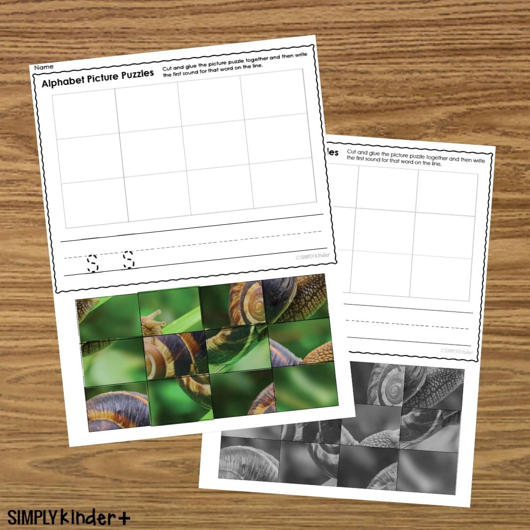 Letter S Nonfiction Alphabet Picture Puzzle - Simply Kinder + Printable ...