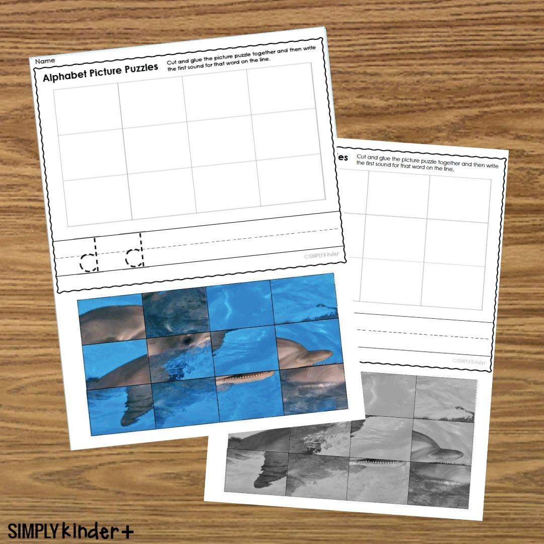 Letter D Nonfiction Alphabet Picture Puzzle - Simply Kinder + Printable ...