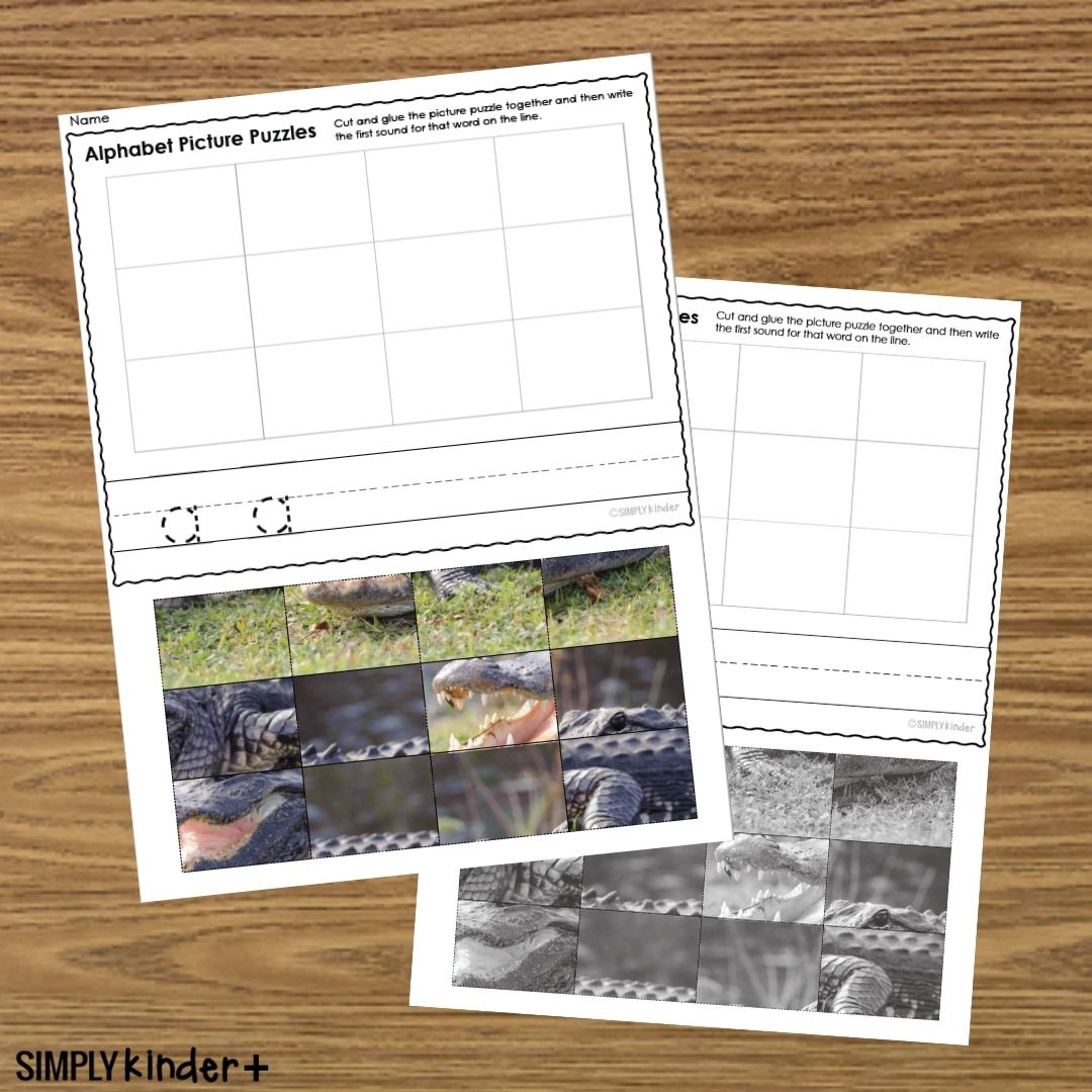 Letter A Nonfiction Alphabet Picture Puzzle - Simply Kinder Plus