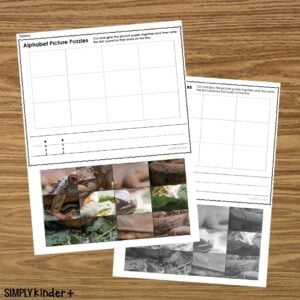 Letter I Nonfiction Alphabet Picture Puzzle - Simply Kinder + Printable ...