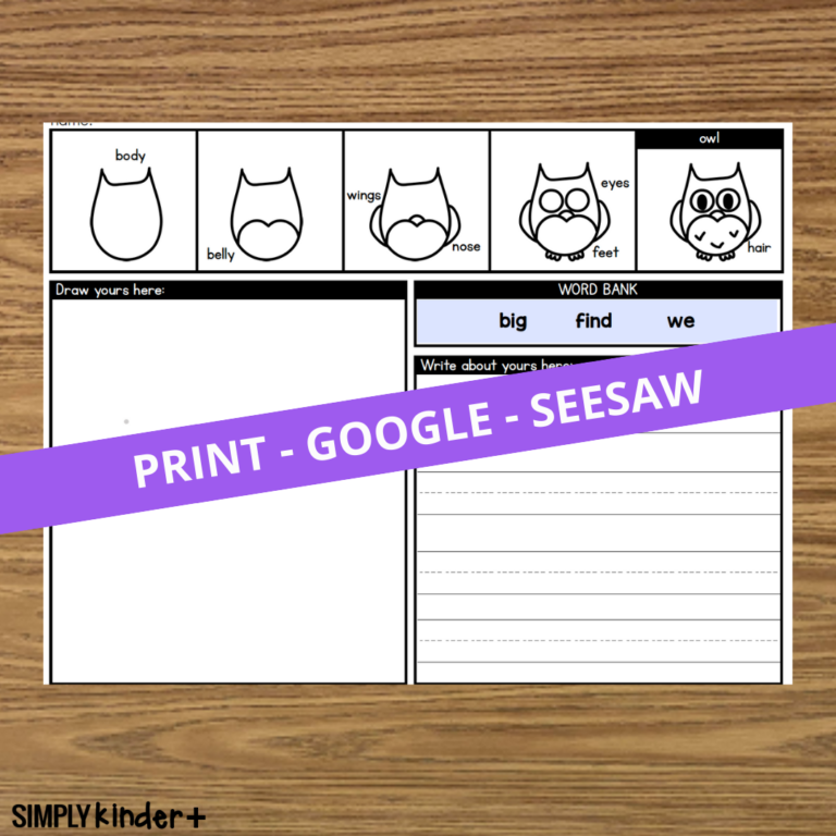 Owl Directed Drawing - Simply Kinder + Printable Membership