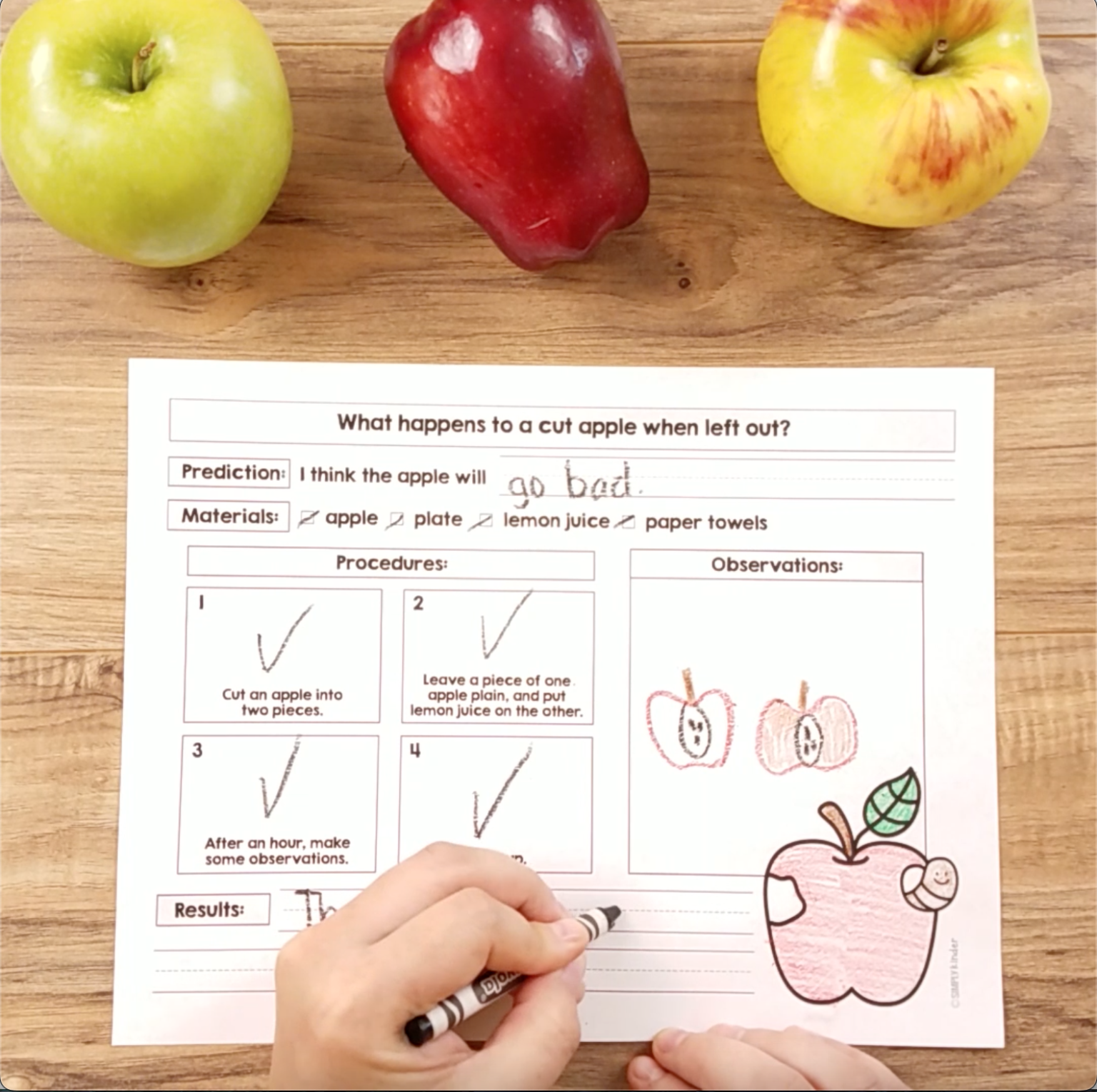 Apple Science Experiments Cut Apple Left Out - Simply Kinder ...