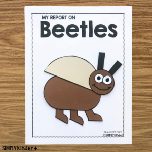 Beetle Craft - Simply Kinder Plus
