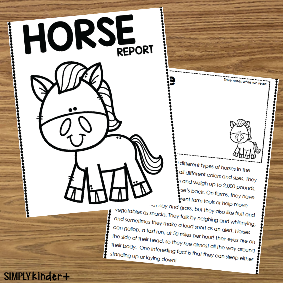 Horse Research Report - Simply Kinder Plus