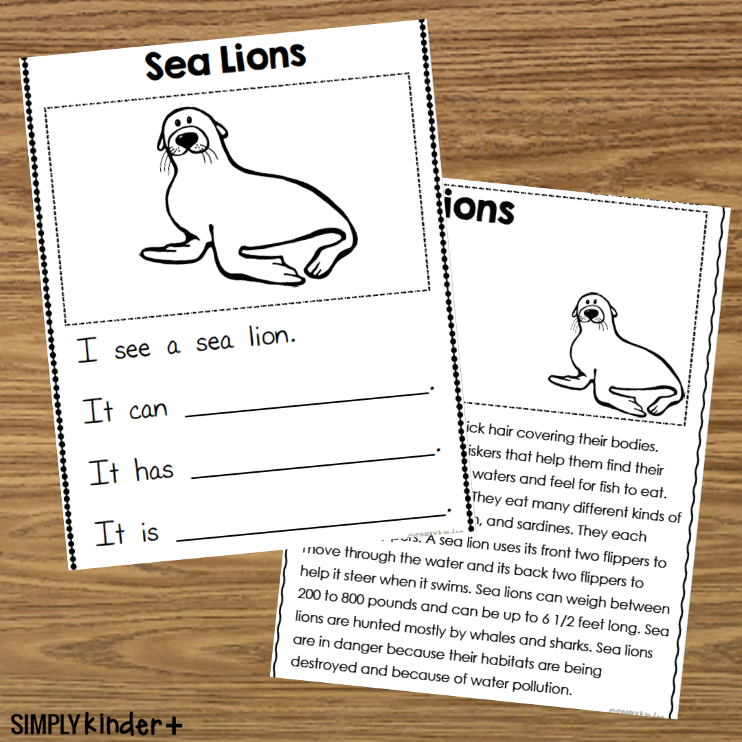 Sea Lion Research Report - Simply Kinder + Printable Membership