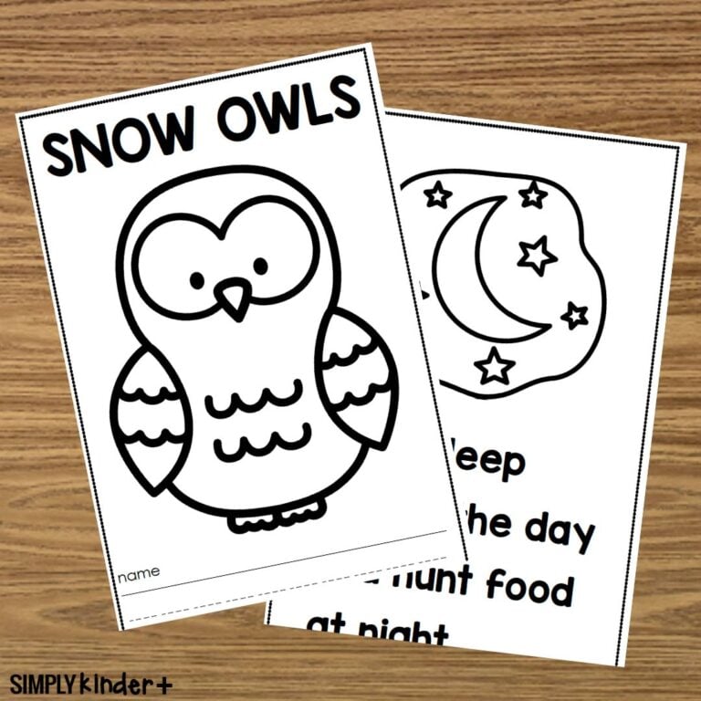 Snow Owls Easy Reader - Simply Kinder Plus