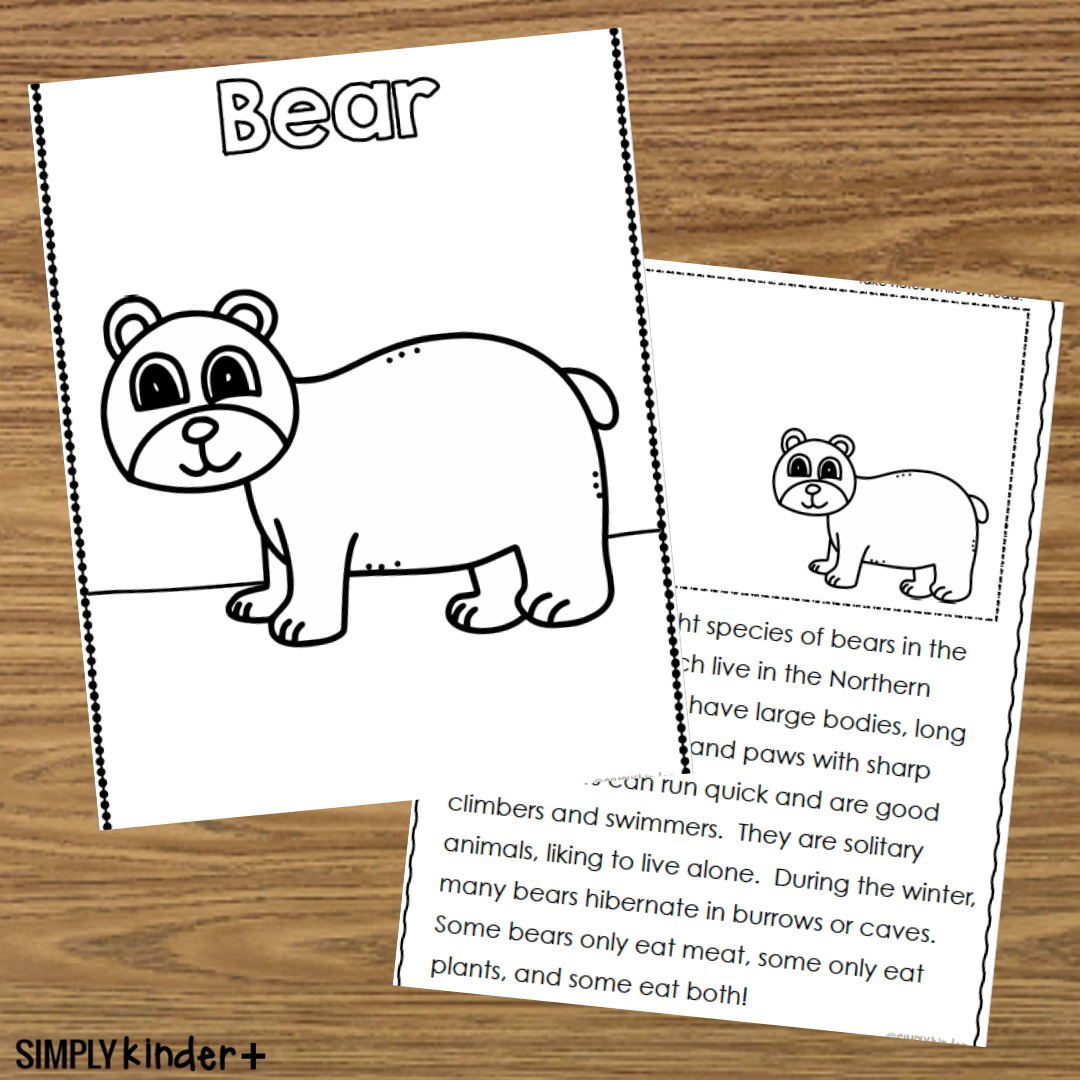 Bear Research Report - Simply Kinder + Printable Membership