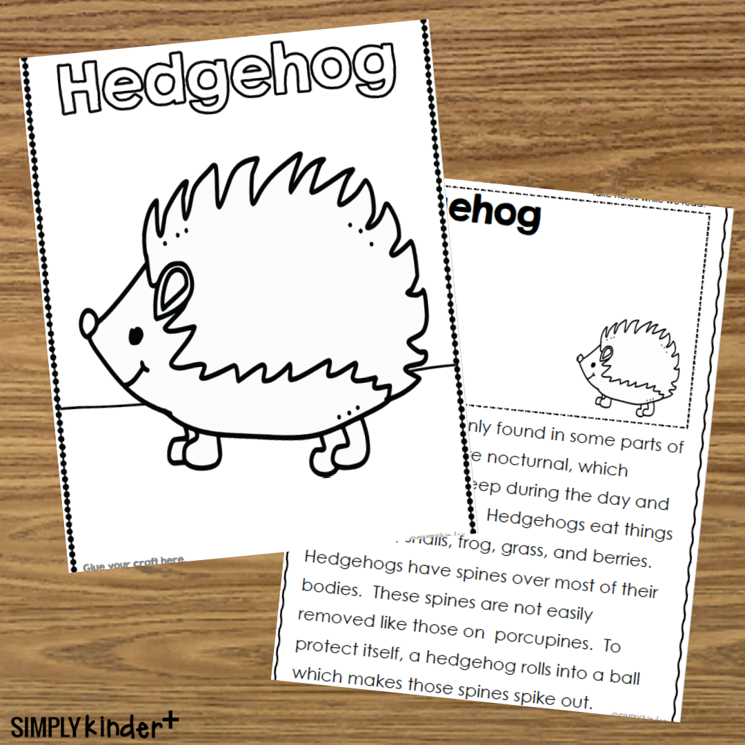 Hedgehog Research Report - Simply Kinder + Printable Membership