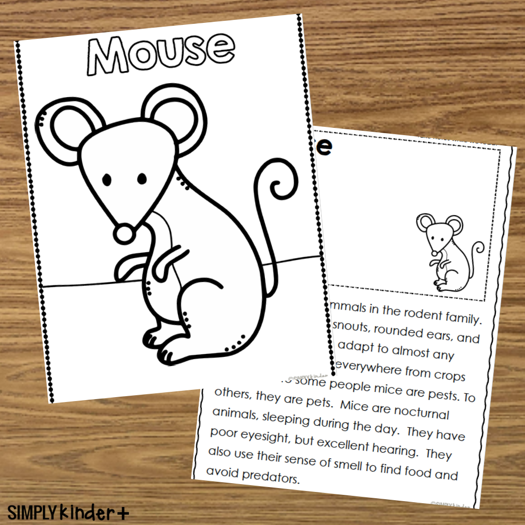 Mouse Research Report - Simply Kinder + Printable Membership