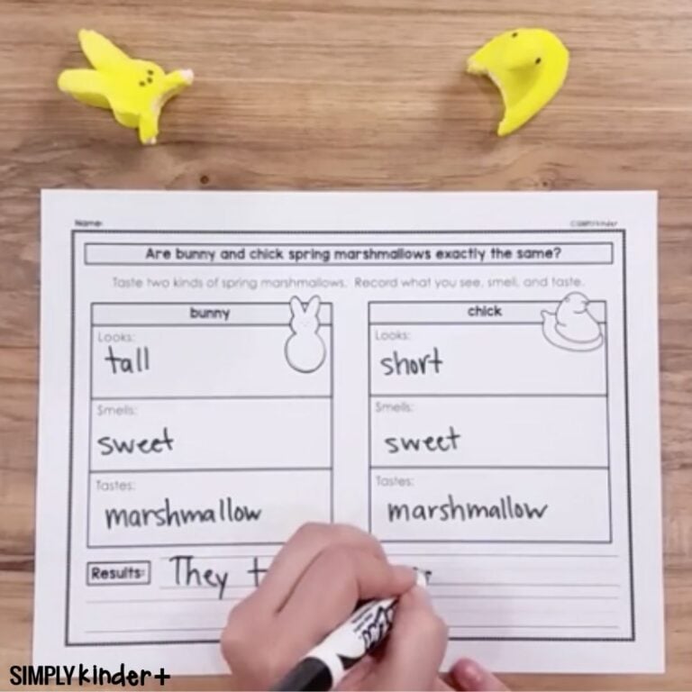 CVC Short O Pocket Chart Cards - Sight Words by Phonics Skills - Simply ...