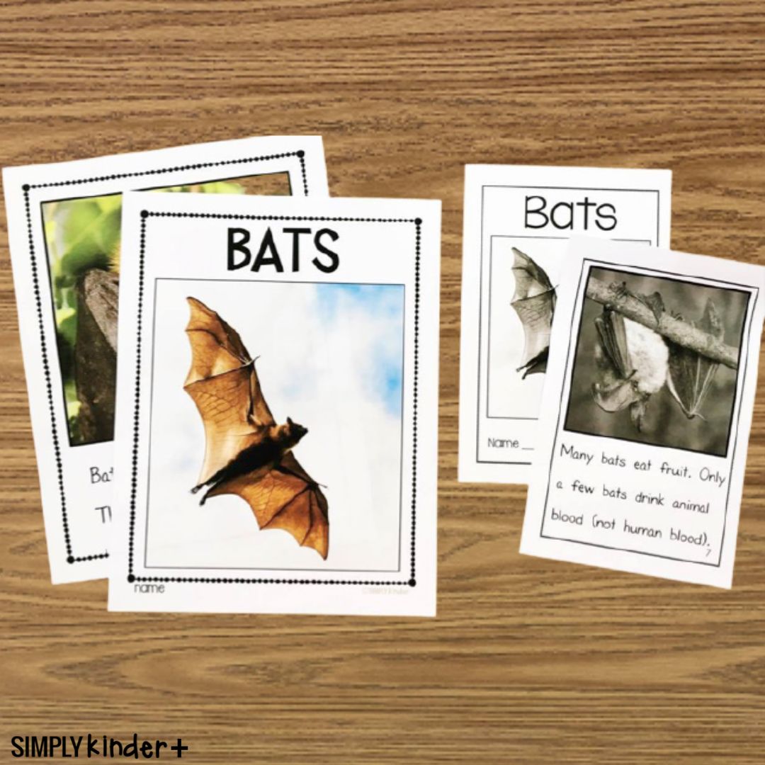 Bats Book Viewer at Keith Criswell blog