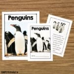 Penguins Nonfiction Reader - Simply Kinder + Printable Membership