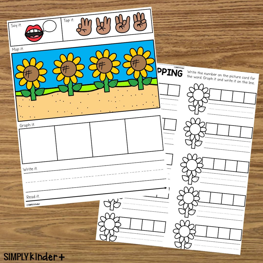 Sunflowers Fall Word Mapping - Simply Kinder + Printable Membership