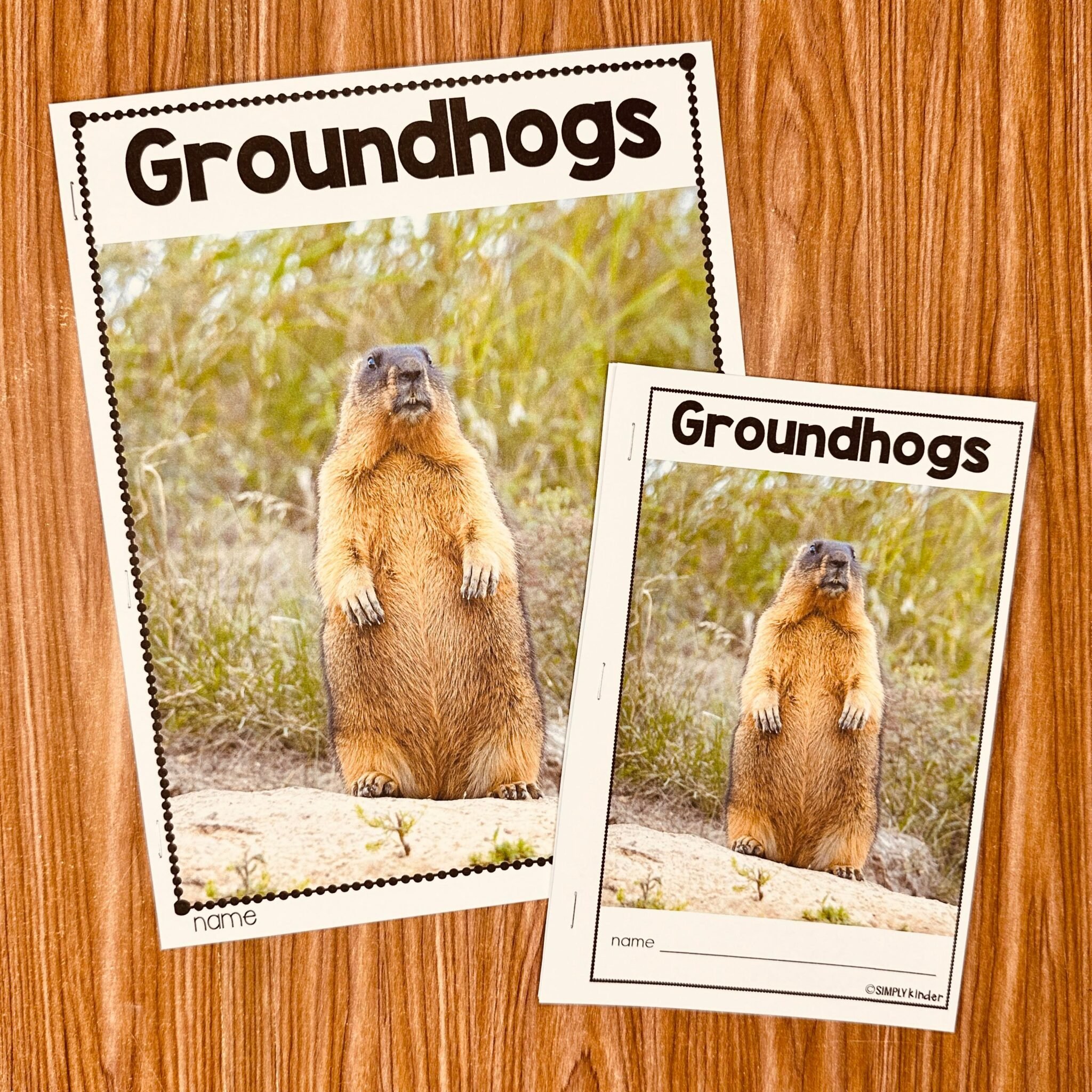 Groundhogs Nonfiction Reader - Simply Kinder + Printable Membership