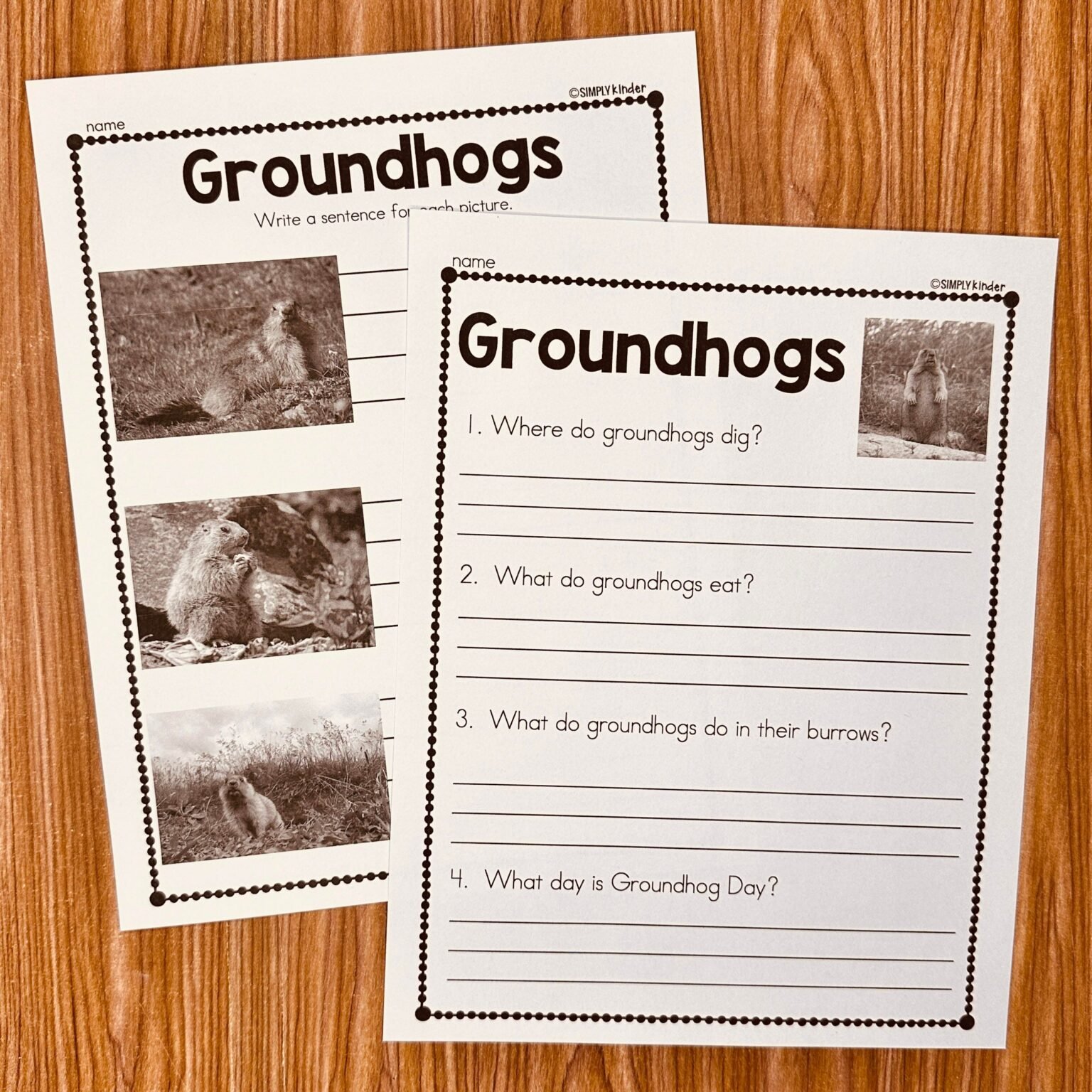 Groundhogs Nonfiction Comprehension Questions - Simply Kinder ...