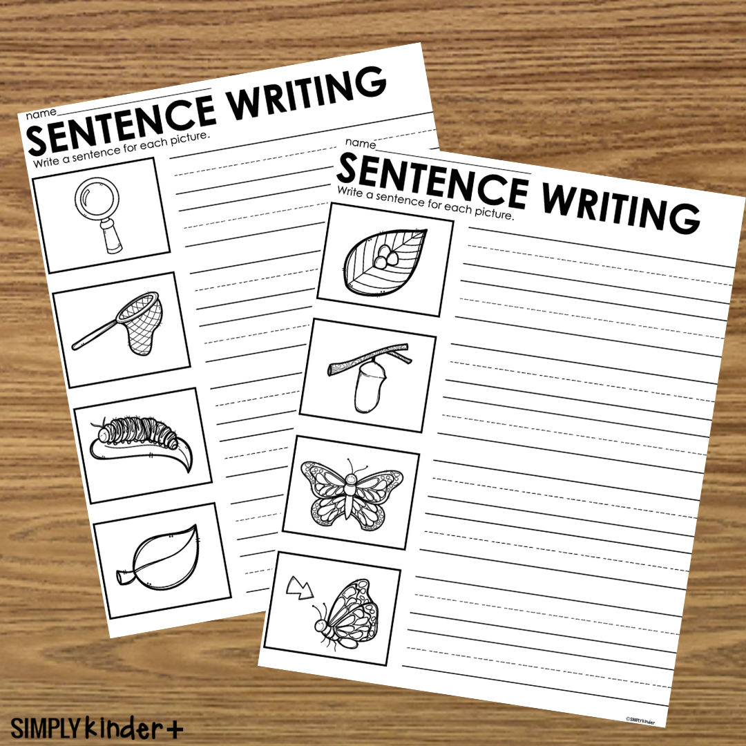 Butterfly Life Cycle Sentence Printables - Word Bank Writing Center ...