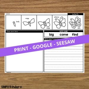 Butterfly Directed Drawing - Simply Kinder + Printable Membership
