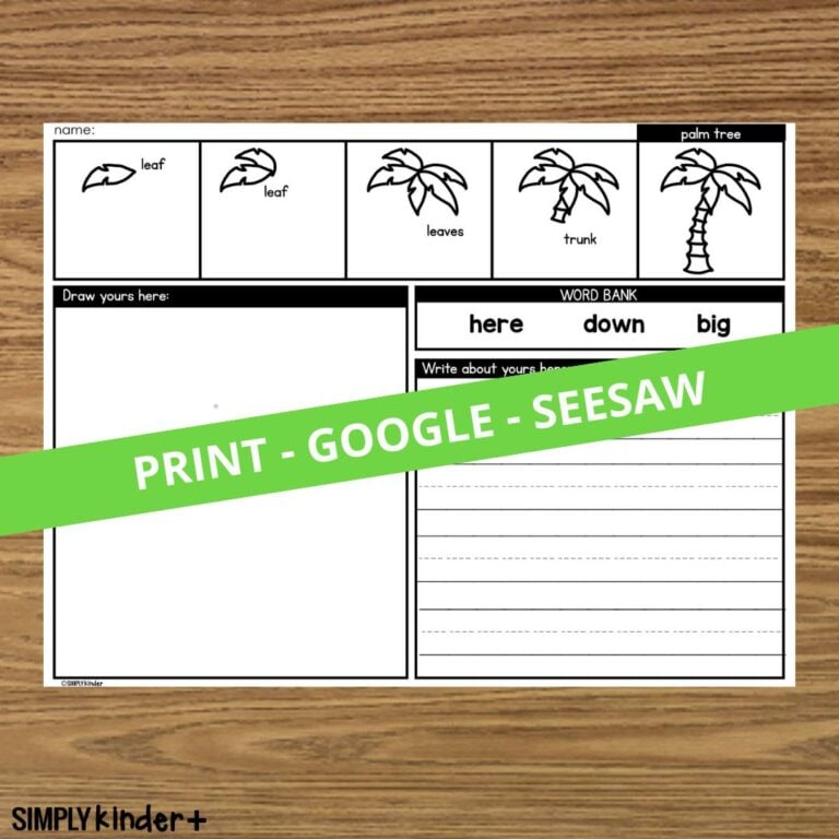 Summer Palm Tree Directed Drawing - Simply Kinder + Printable Membership