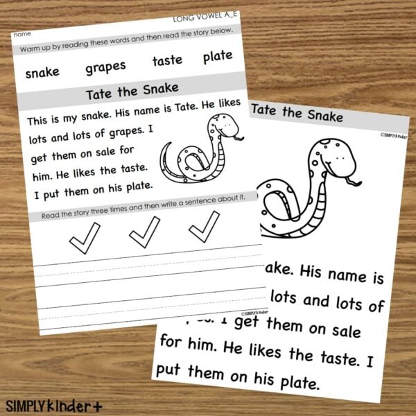 Reading Fluency & Comprehension Passages: Long A Take The Snake ...