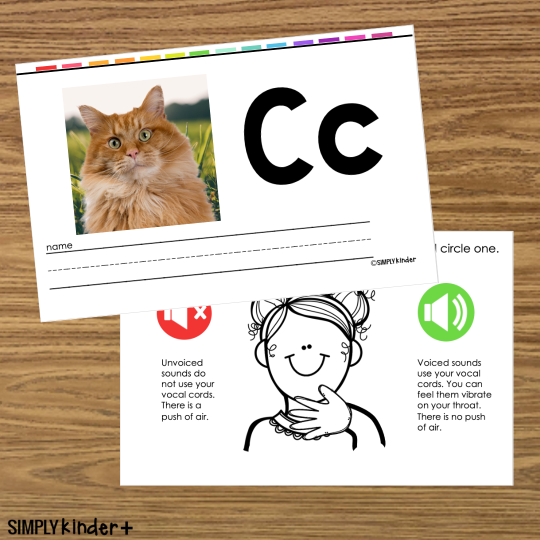 Letter C Alphabet And Sound Mini-Book - Simply Kinder + Printable ...