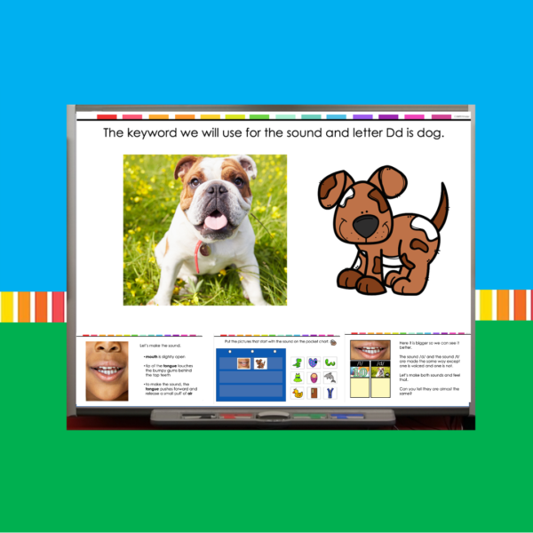 Letter D Alphabet And Sound Slides for PowerPoint and Google - Simply ...