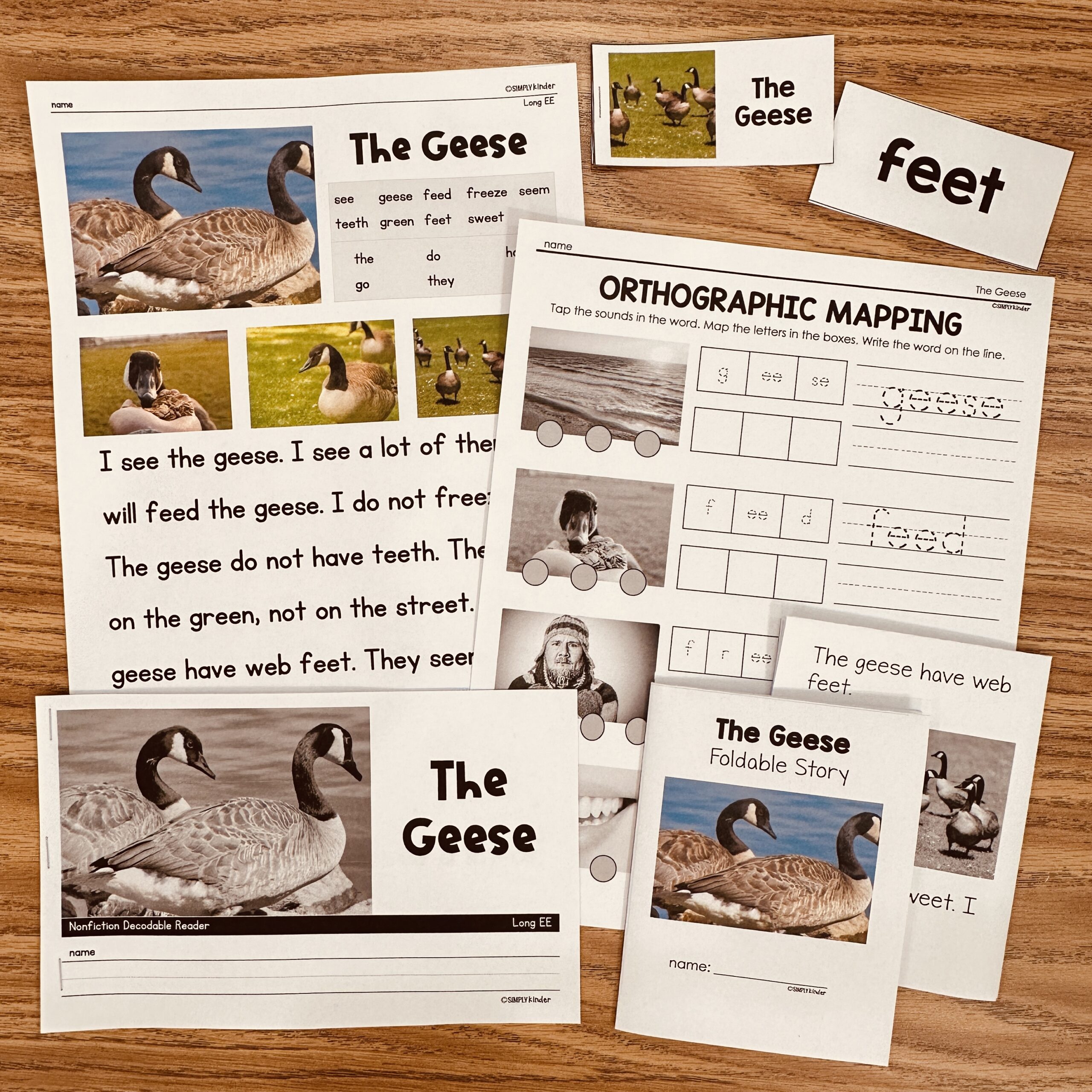 Nonfiction Decodable - Vowel Team EE - The Geese - Simply Kinder Plus