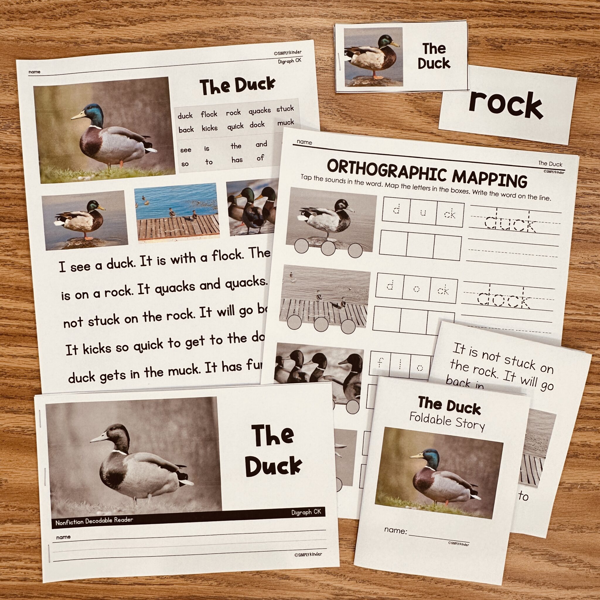 Nonfiction Decodable - Digraph CK - The Duck - Simply Kinder ...