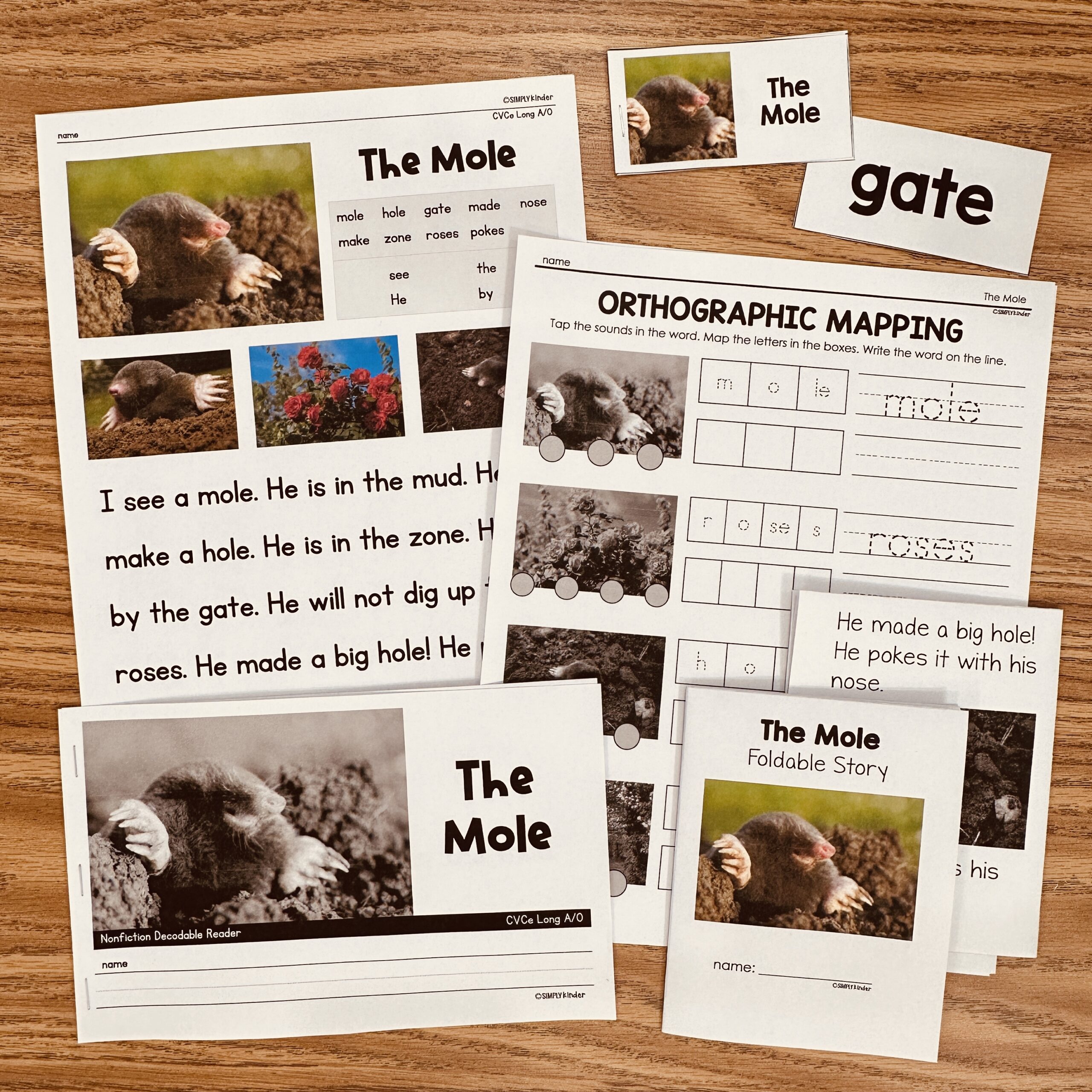 Nonfiction Decodable - Mixed CVCe Long A & O- The Mole - Simply Kinder ...