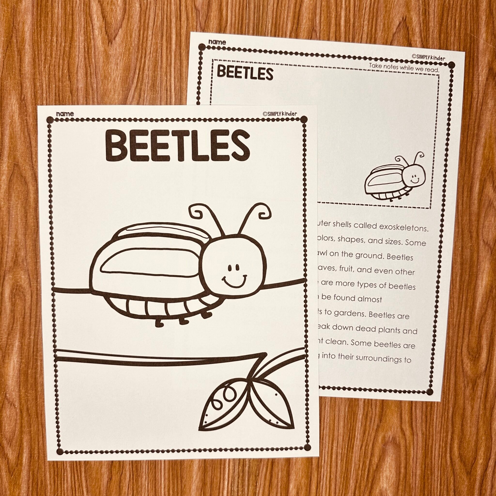 Beetle Research Report - Simply Kinder Plus