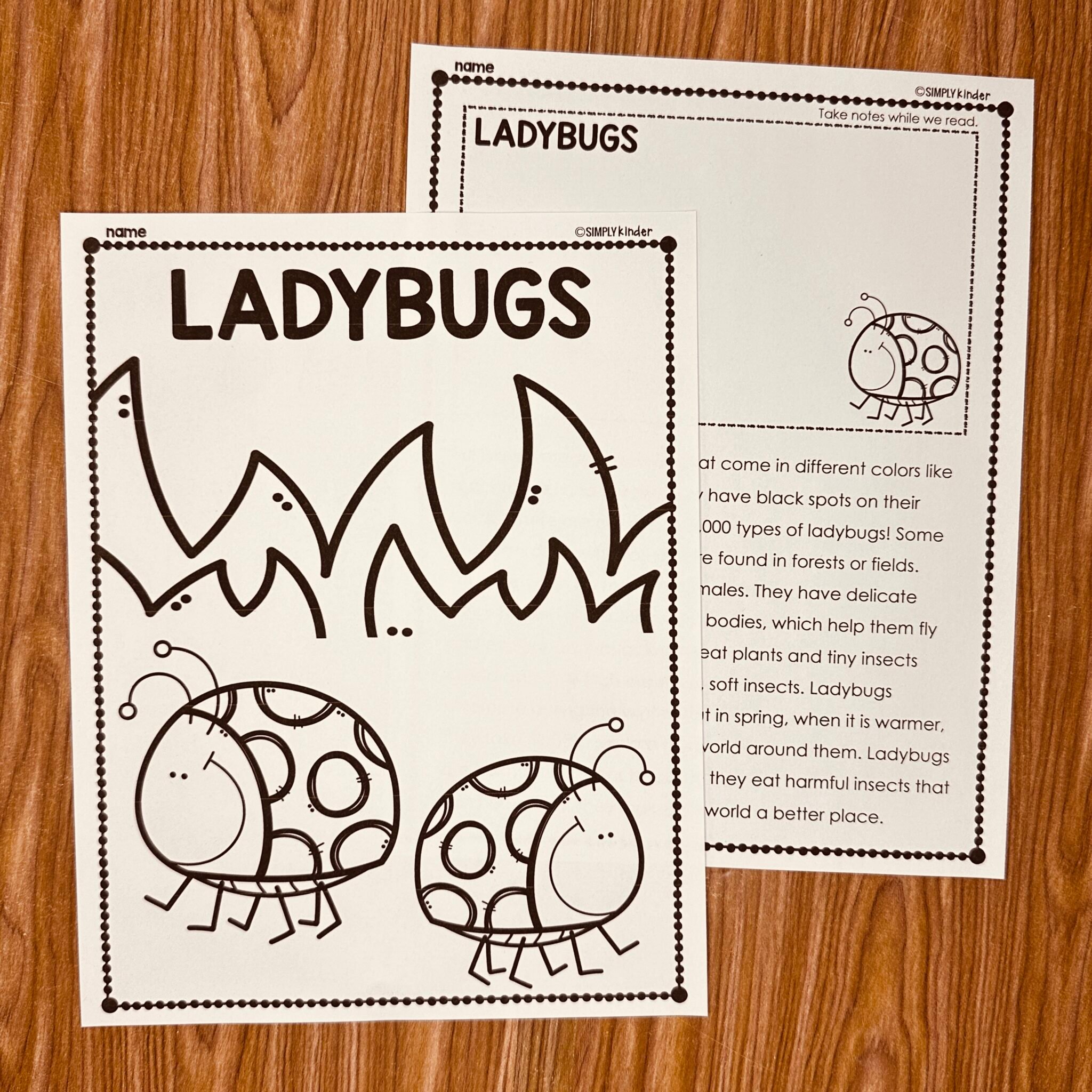 Ladybug Research Report - Simply Kinder + Printable Membership