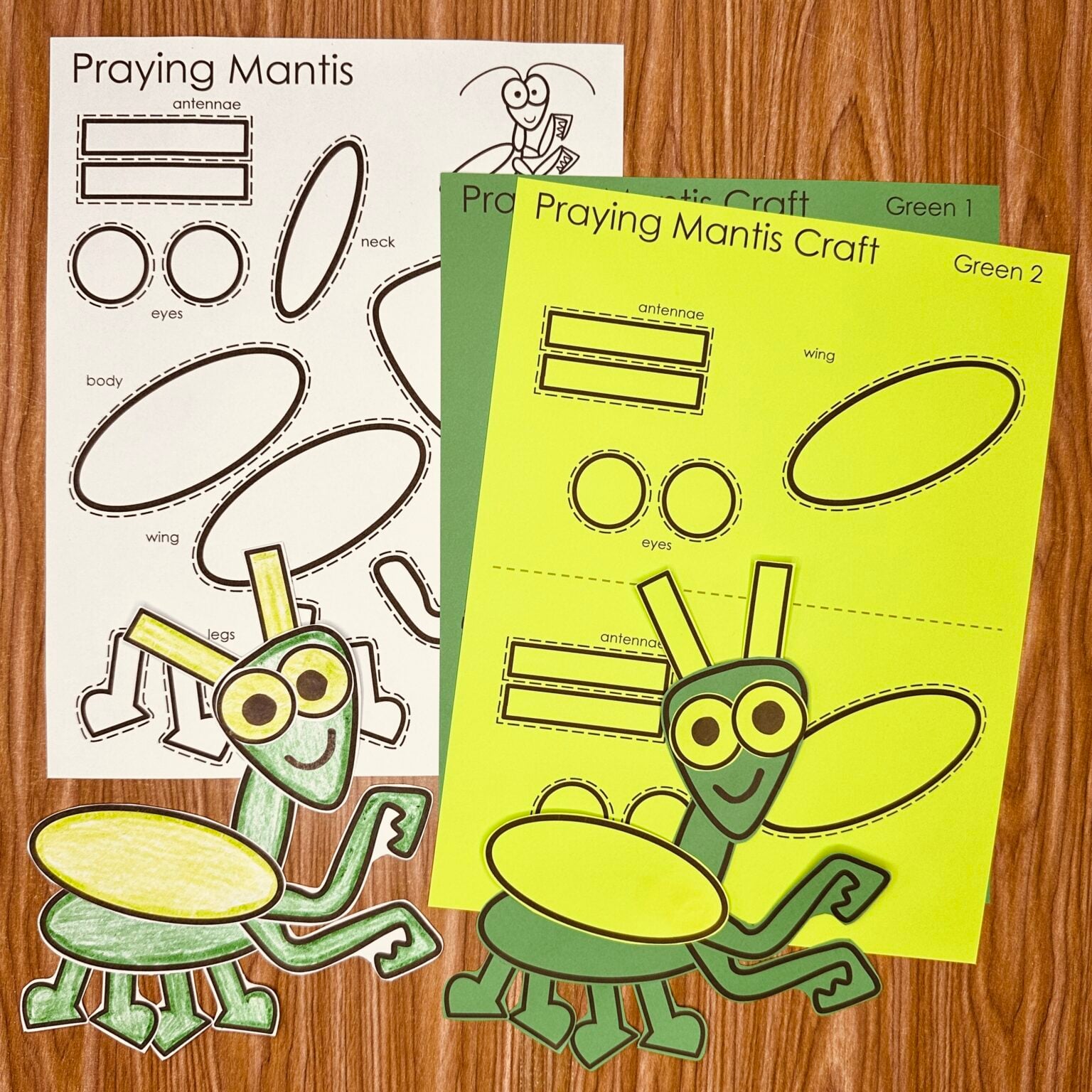 Praying Mantis Craft - Simply Kinder + Printable Membership