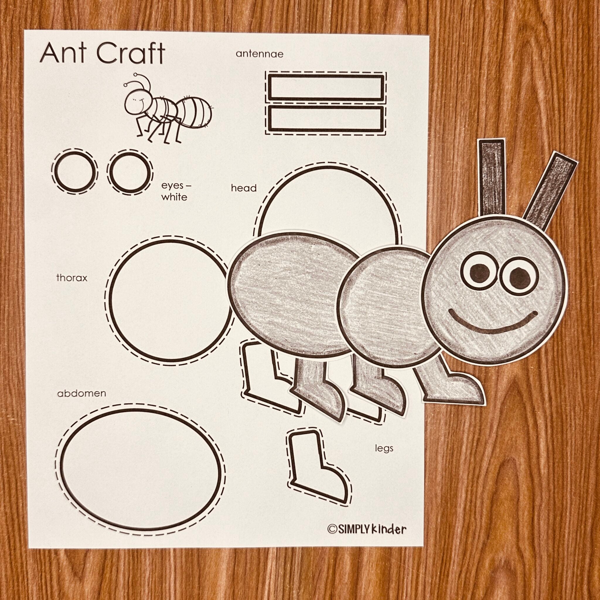 Ant Craft - Simply Kinder + Printable Membership