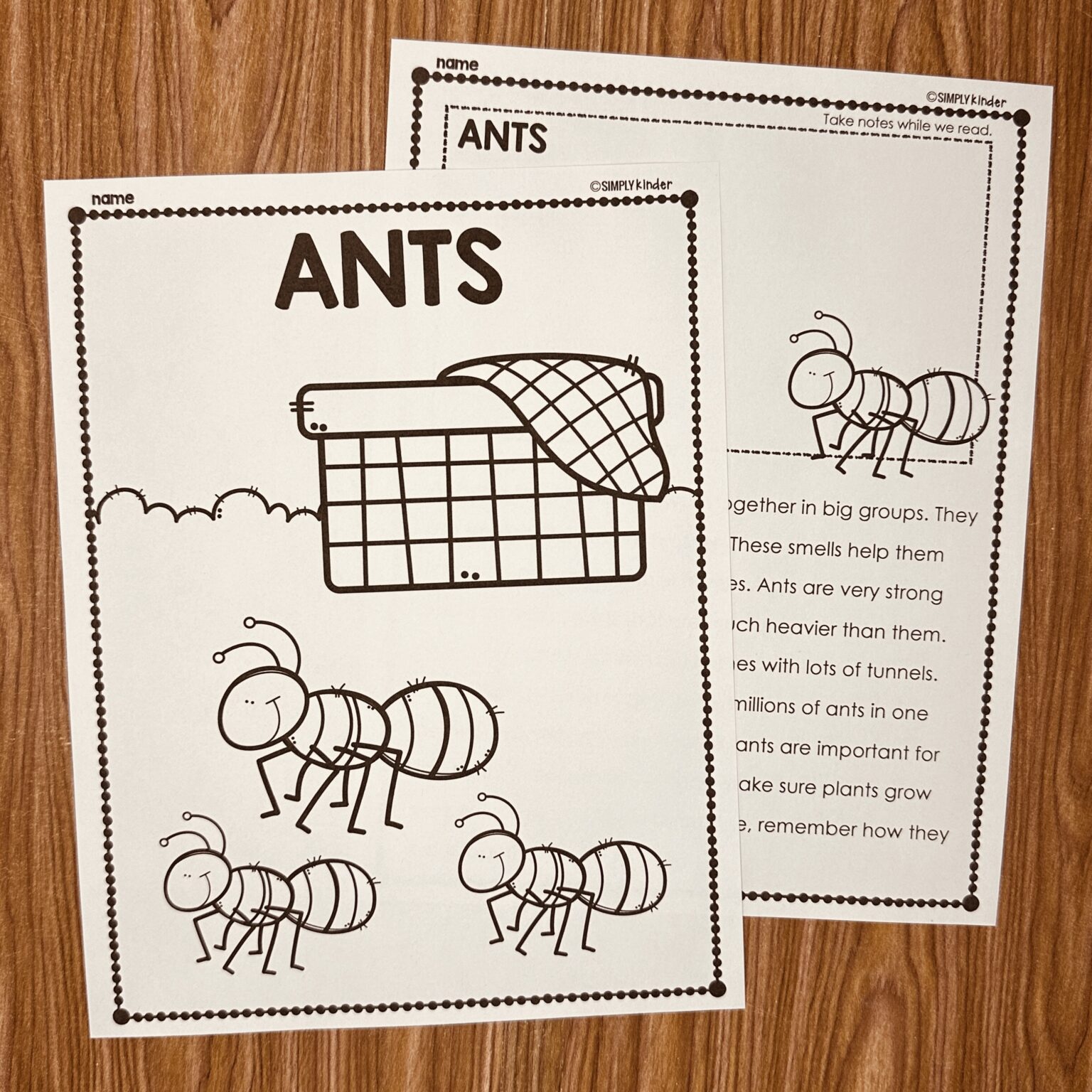 Ant Research Report - Simply Kinder + Printable Membership