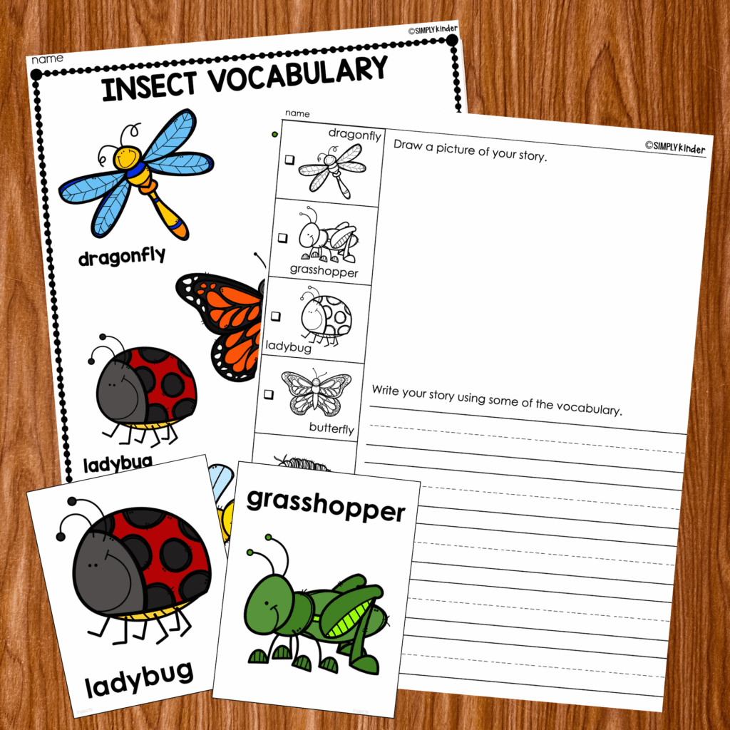 Insects Vocabulary Printables & Word Wall Cards - Simply Kinder ...