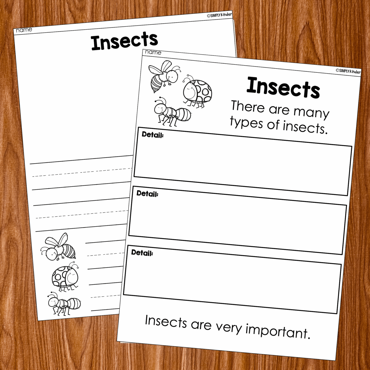 Insects Writing Pages - Simply Kinder + Printable Membership