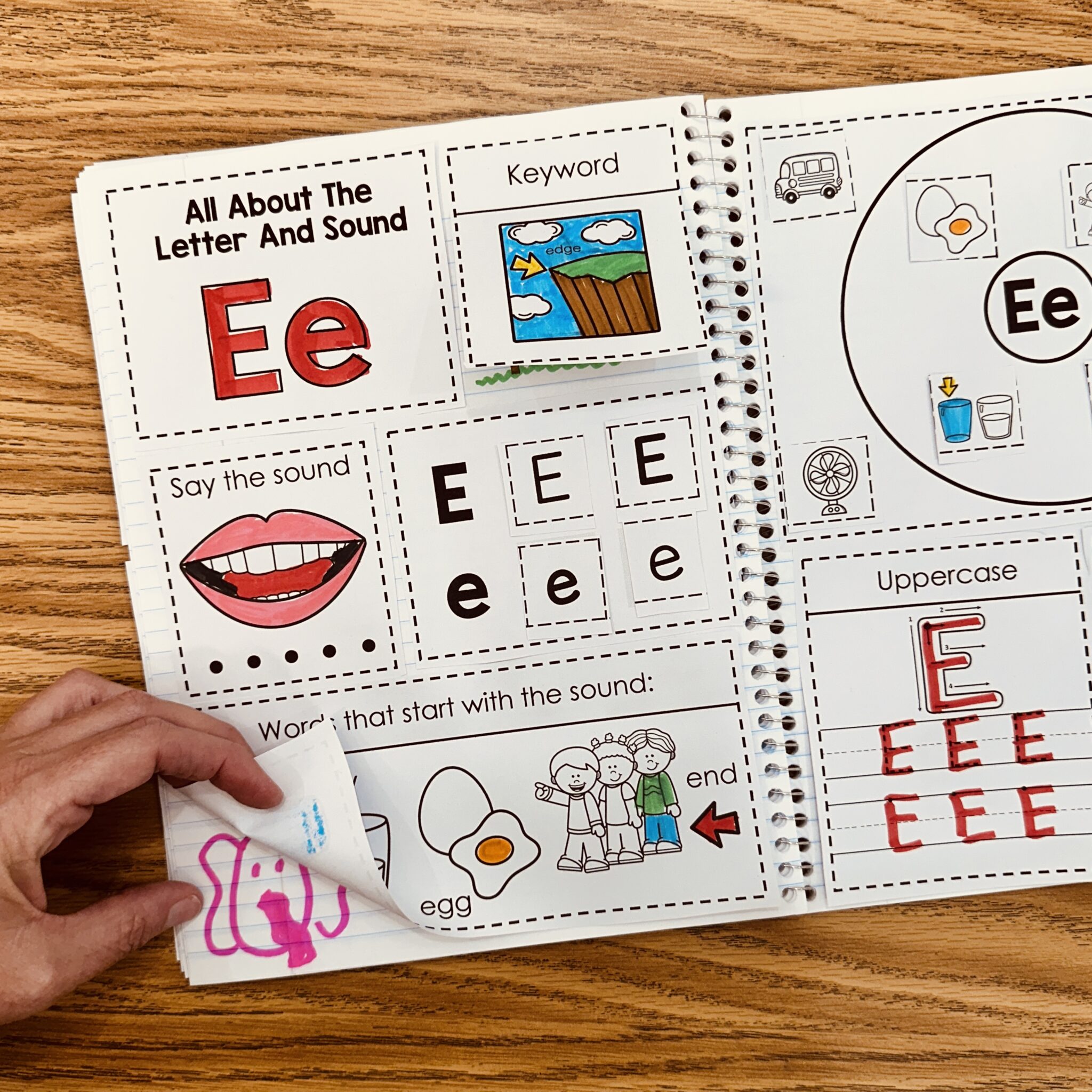 Letter E Alphabet Interactive Notebooks - Simply Kinder + Printable ...