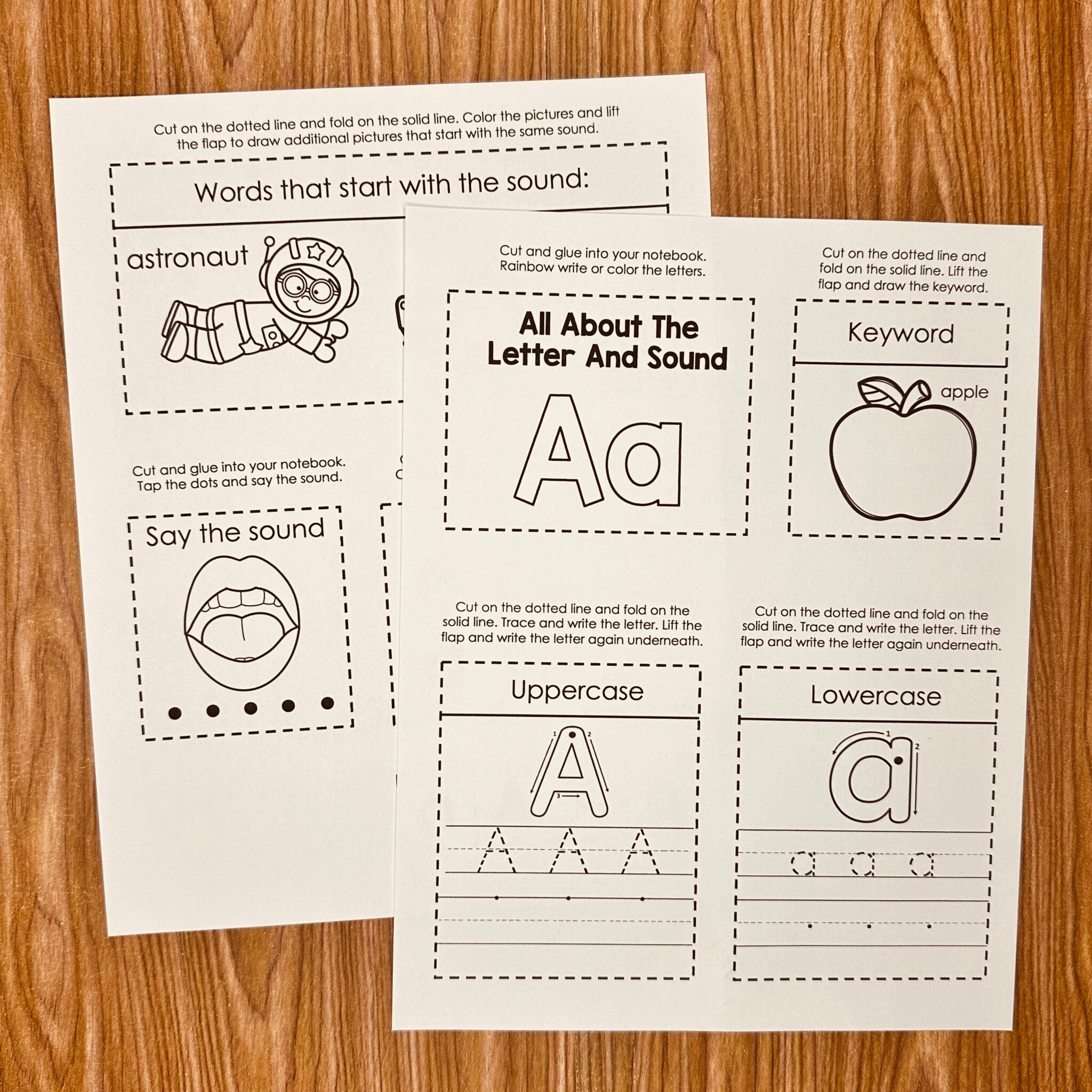 Letter A Alphabet Interactive Notebooks - Simply Kinder + Printable ...