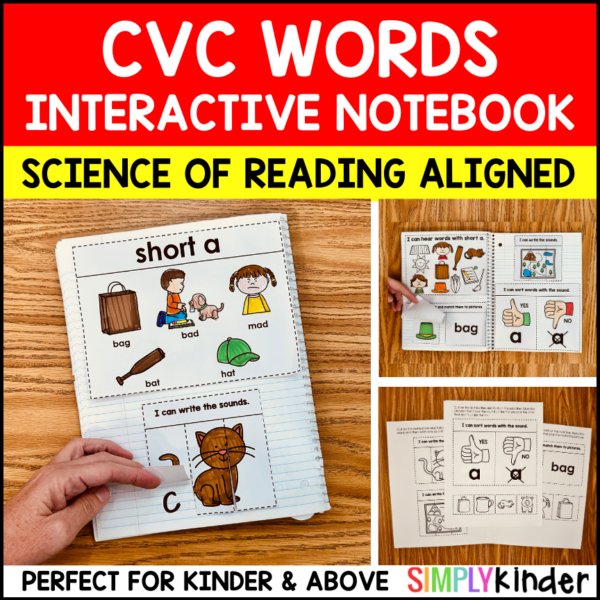 CVC Interactive Notebooks - Simply Kinder + Printable Membership