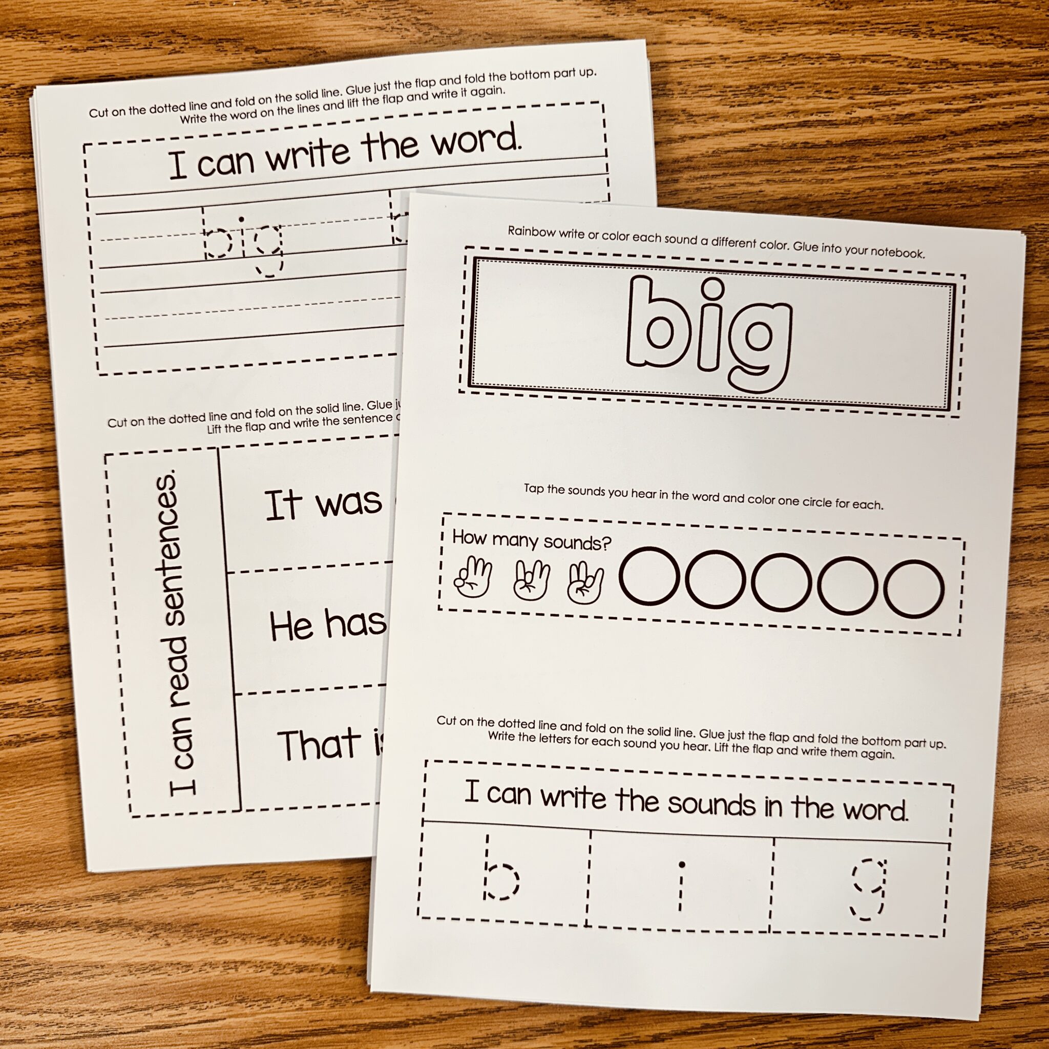Big Sight Word Interactive Notebook - Fry, Dolch PrePrimer - Simply ...