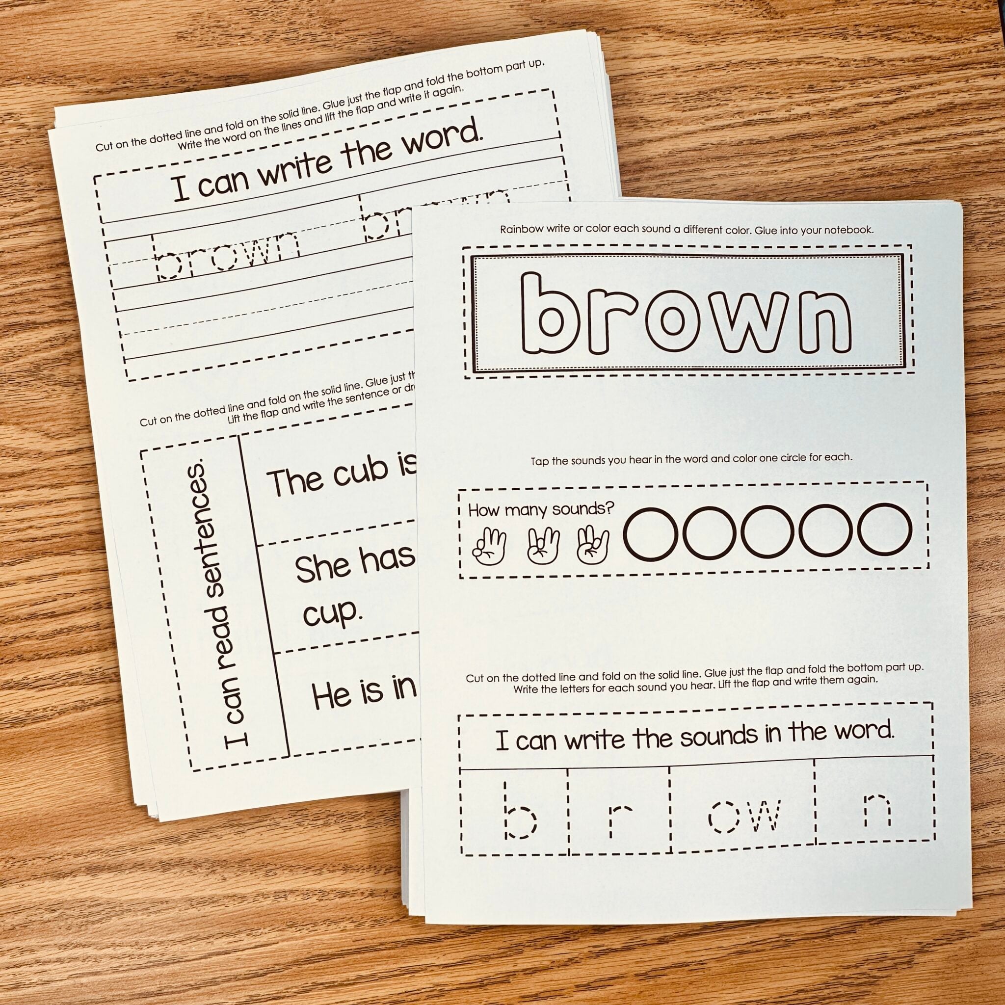 Brown Sight Word Interactive Notebook - Dolch Primer - Simply Kinder ...