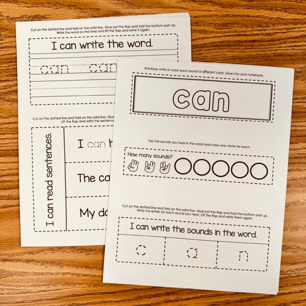 Can Sight Word Interactive Notebooks - Fry, Dolch PrePrimer - Simply ...