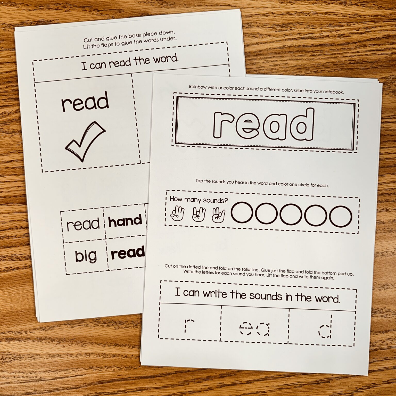 Read Sight Word Interactive Notebook - Fry - Simply Kinder Plus