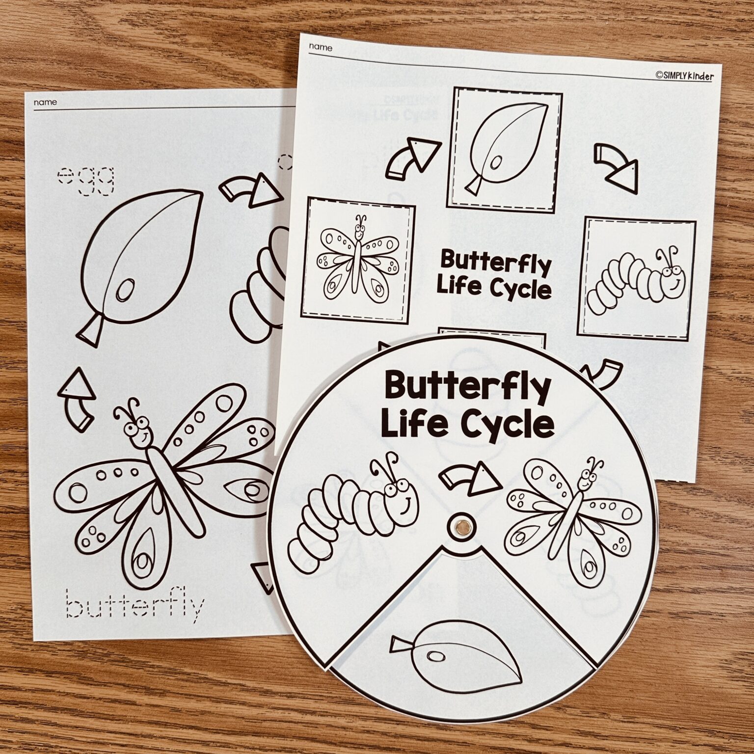 The Hungry Caterpillar Life Cycle Activity - Simply Kinder + Printable ...
