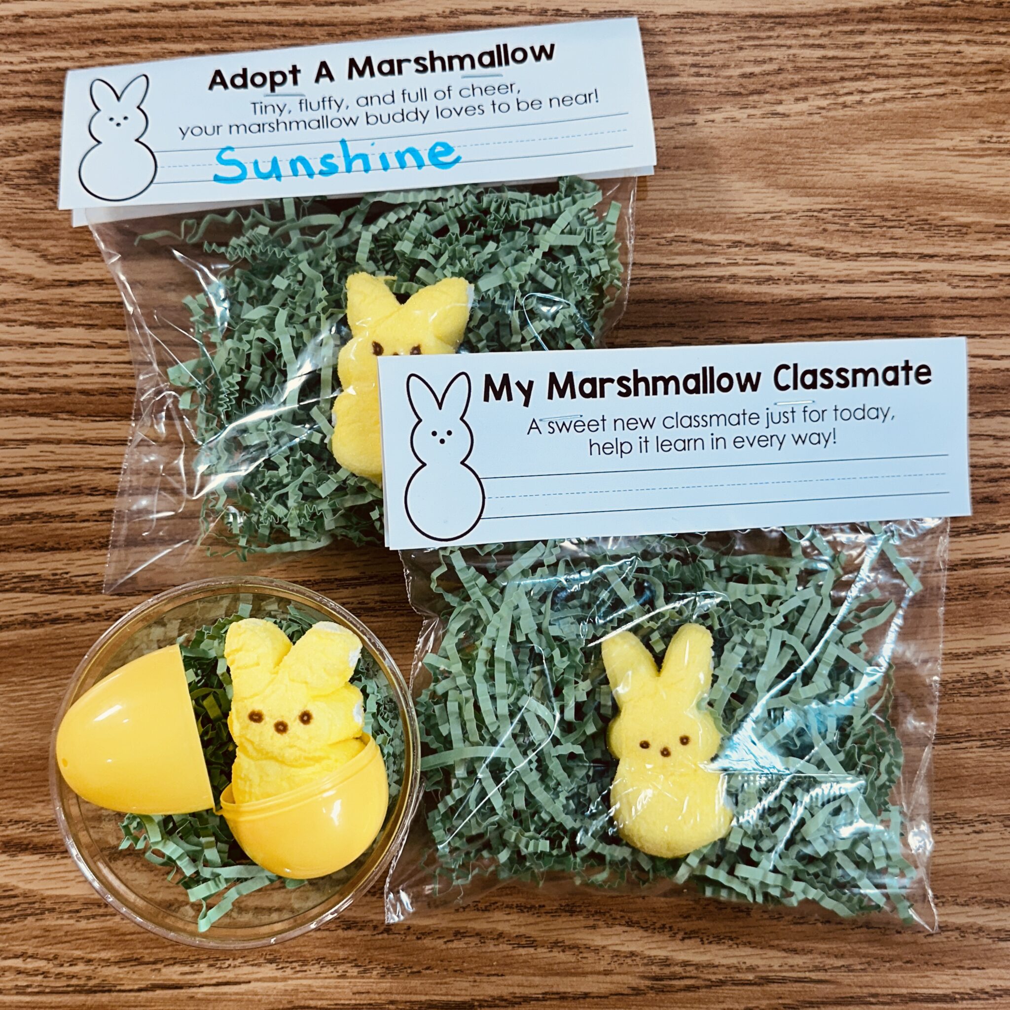 Adopt A Marshmallow Activity Set - Simply Kinder + Printable Membership